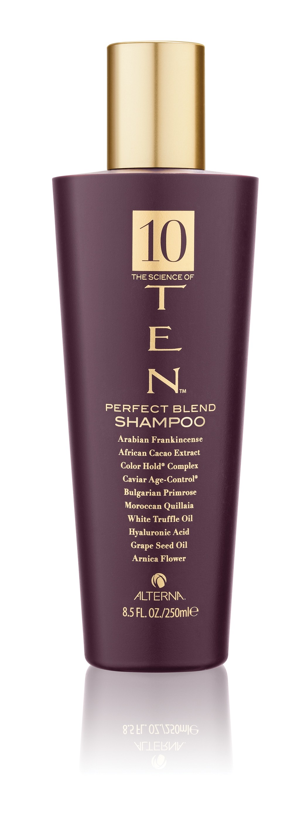 Alterna Ten Perfect Blend Shampoo 250ml